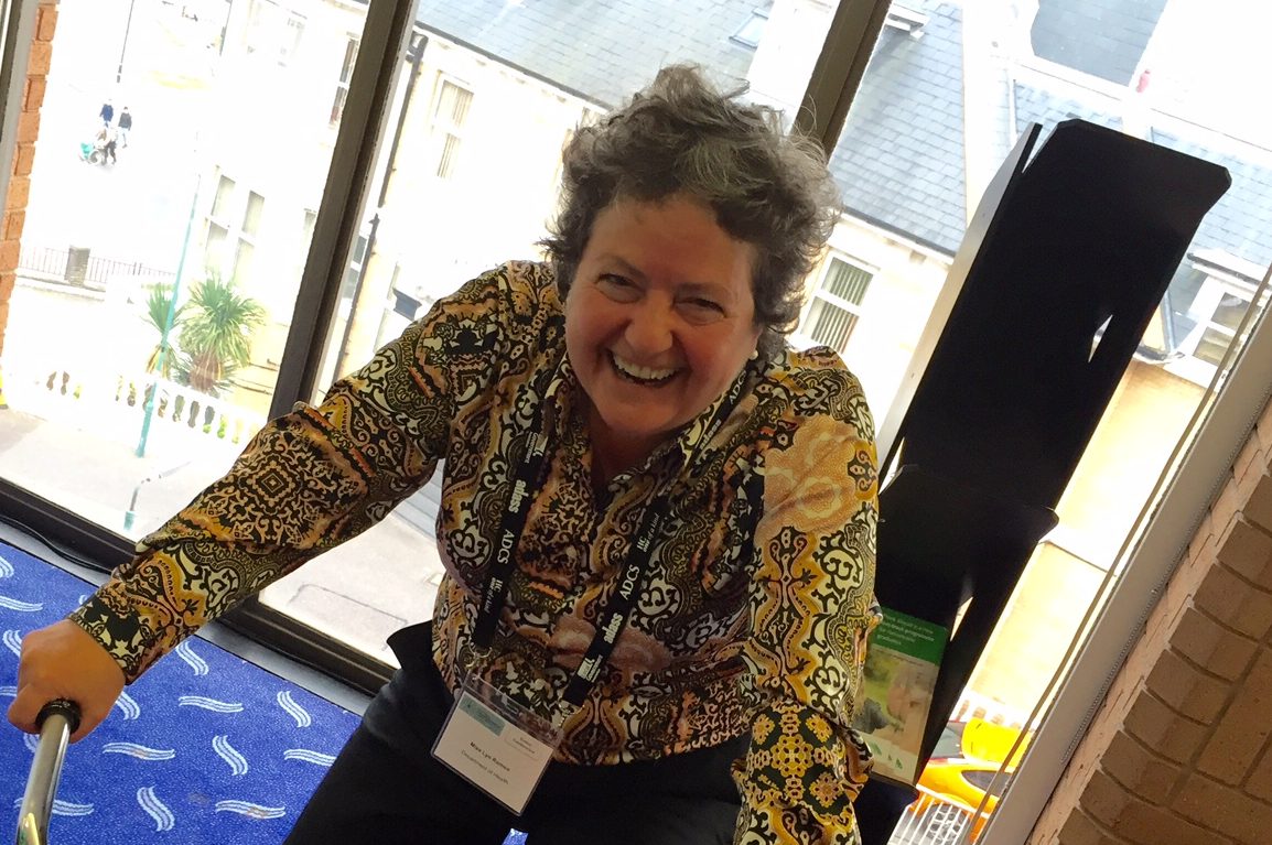 All change at the Chief Social Worker for Adults’ office – Social work ...